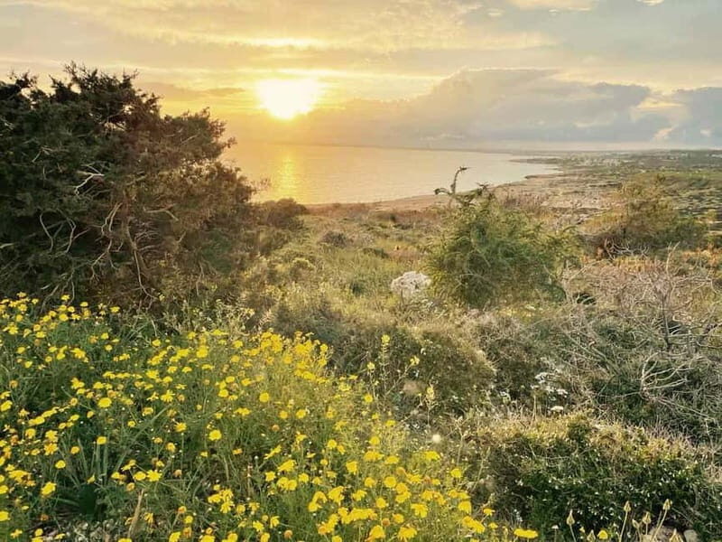 From Larnaca: Cape Greko Guided Tour with Transfers - Practical Tips for Booking and Preparing