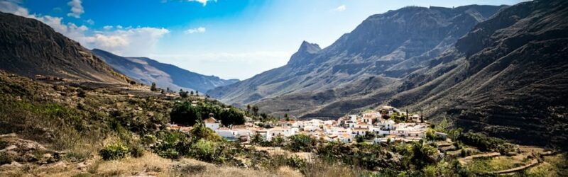 From Las Palmas: Fataga, Finca de Aloe Vera and Mercado Puerto de Mogán - Discovering the Charm of Southern Gran Canaria: A Tour Review of Fataga, Aloe Vera, and Puerto de Mogán