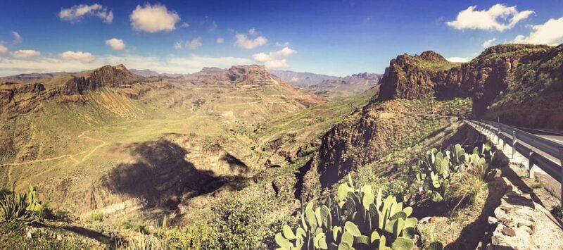 From Las Palmas: Fataga, Finca de Aloe Vera and Mercado Puerto de Mogán - Key Points