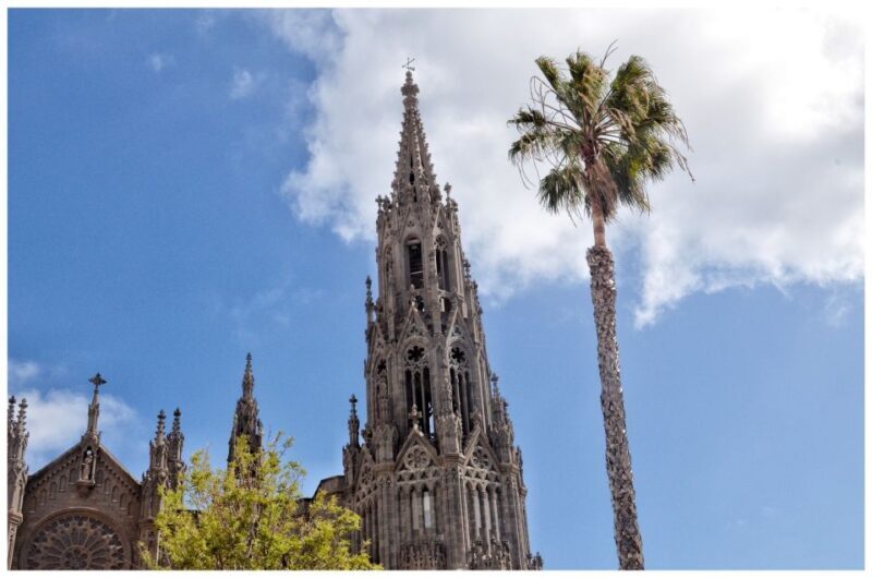 From Las Palmas: Full-Day Tour of the North - Who Should Consider This Tour?