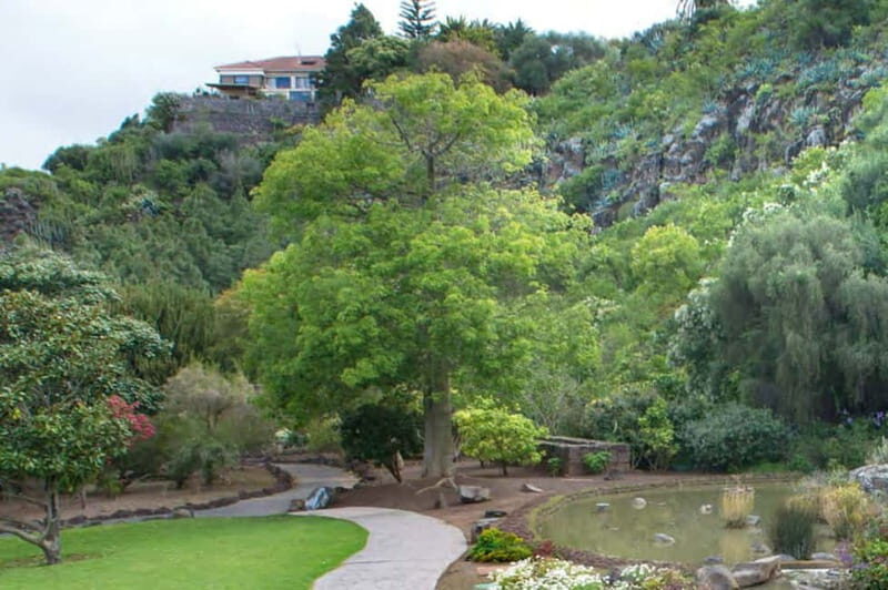 From Las Palmas: Half day tour Volcano Bandama & Vineyard - Exploring the Detailed Itinerary