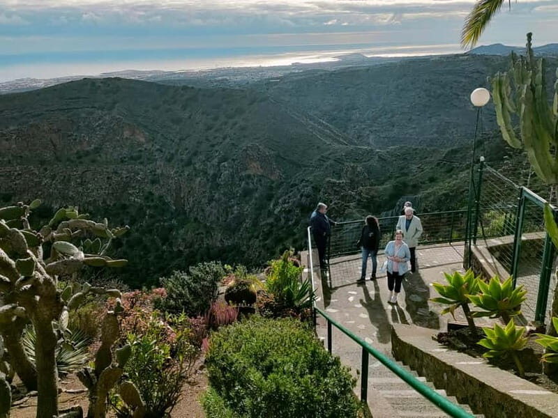 From Las Palmas: Half day tour Volcano Bandama & Vineyard - Authentic Experiences and Genuine Value
