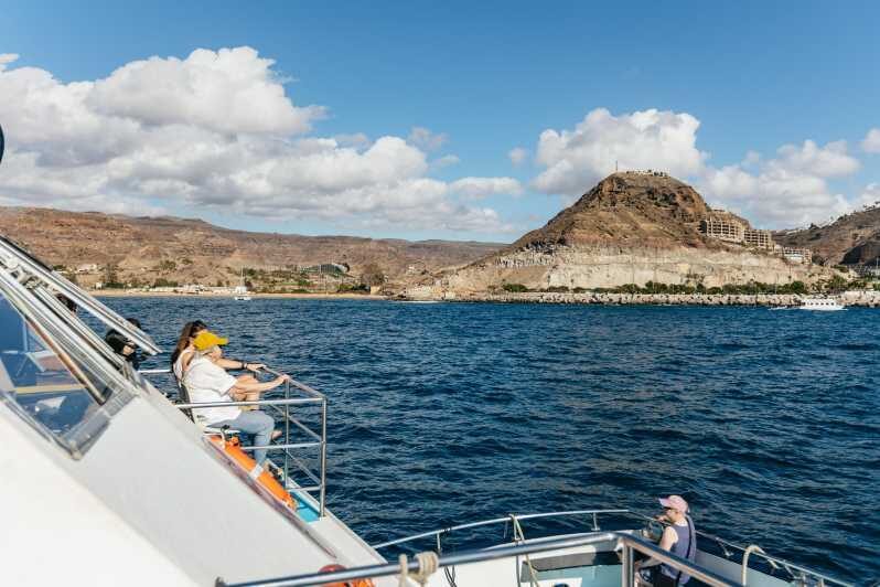 From Las Palmas: Highlights of Gran Canaria Day Tour - What Makes This Tour Valuable?