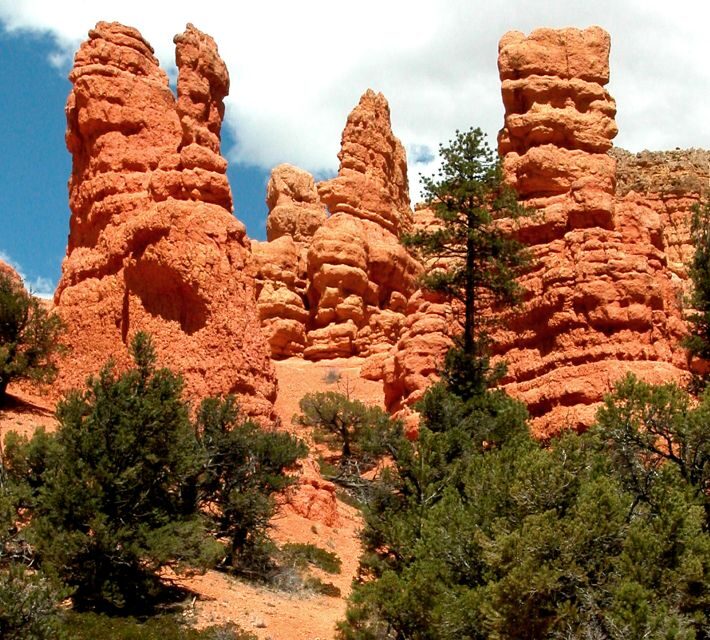 From Las Vegas: Bryce Canyon and Zion Park Combo Tour - Authentic Experiences and Traveler Feedback