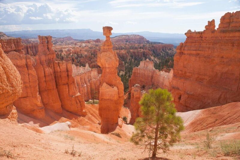 From Las Vegas: Bryce Canyon and Zion Park Tour with Lunch - Who is this tour best suited for?
