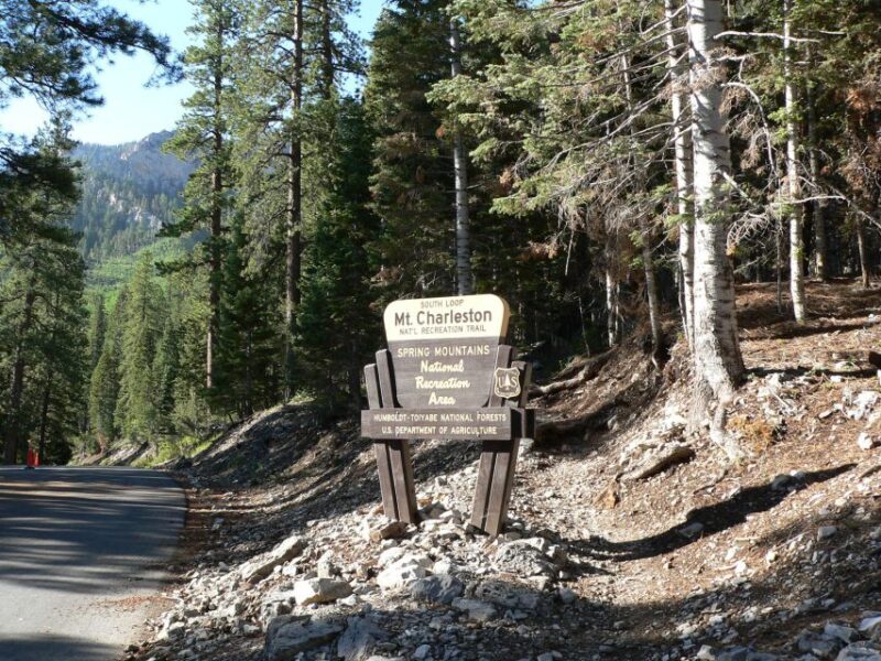 From Las Vegas: Day Trip to Mount Charleston Resort - An In-Depth Look at the Mount Charleston Day Trip