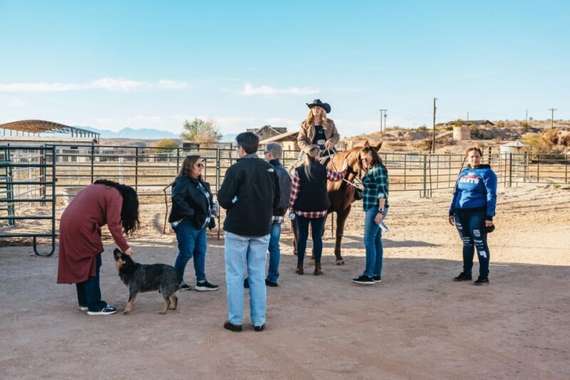From Las Vegas: Desert Sunset Horseback Ride with BBQ Dinner - Key Points