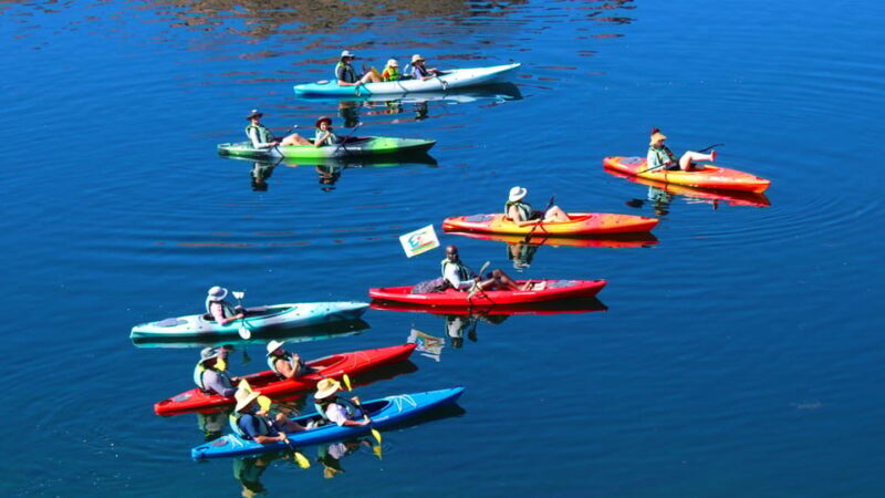 From Las Vegas: Emerald Cave Guided Kayak Tour - Wildlife Spotting and Nature Lore