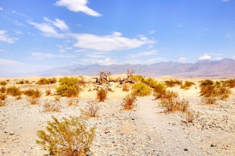 From Las Vegas: Ghost Town Wild West Adventures Day Trip - An Authentic Wild West Experience from Las Vegas