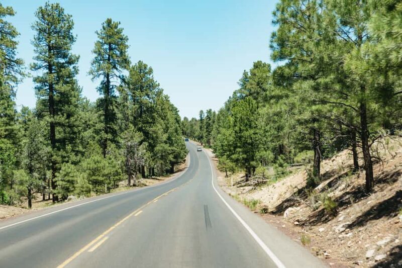 From Las Vegas: Grand Canyon National Park South Rim Tour - Free Time at the South Rim