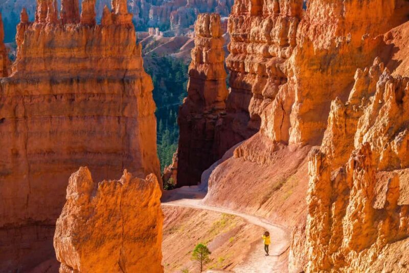 From Las Vegas: Private Bryce Canyon Hiking Tour - Deep Dive into the Trails: What Makes Each Special