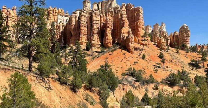 From Las Vegas: Private Tour to Zion National Park - A Detailed Look at the Las Vegas to Zion Private Tour