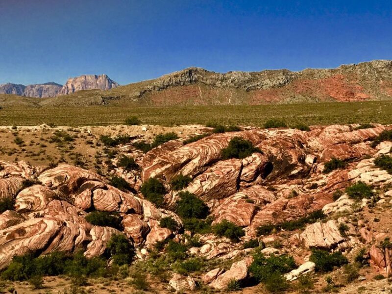 From Las Vegas: Red Rock Canyon Electric Bike Hire - The Authentic Experience: What Do Travelers Say?