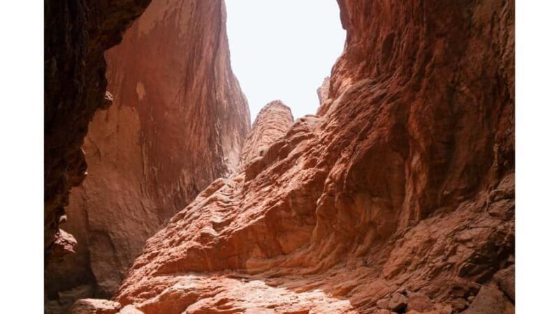 From Las Vegas: Red Rock Canyon Small Group Tour - A Day with the Beauty of Red Rock Canyon