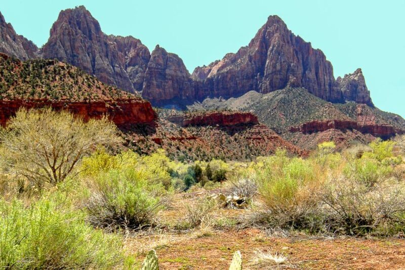 From Las Vegas: VIP Small-Group Zion National Park Adventure - Authenticity and Authentic Experiences