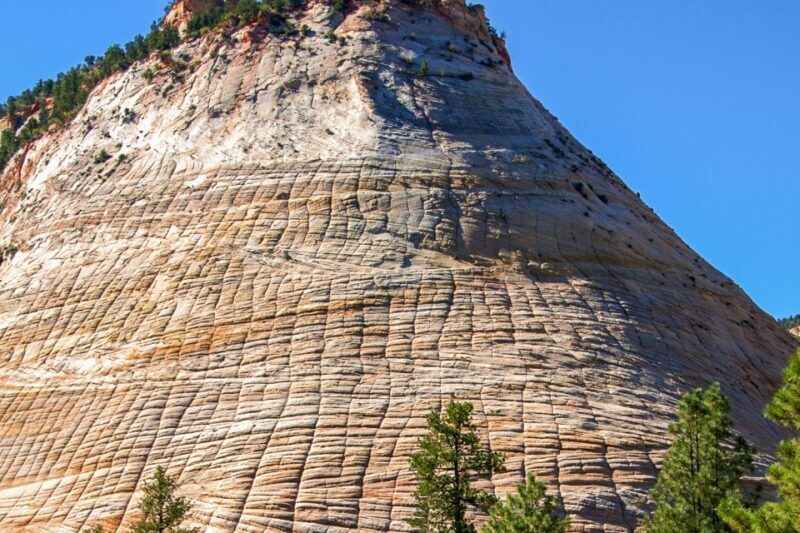 From Las Vegas: VIP Small-Group Zion National Park Adventure - Who This Tour Is Perfect For