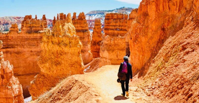 From Las Vegas: Zion and Bryce Canyon Day Trip with Pickup - The Return Journey: Comfortable and Scenic