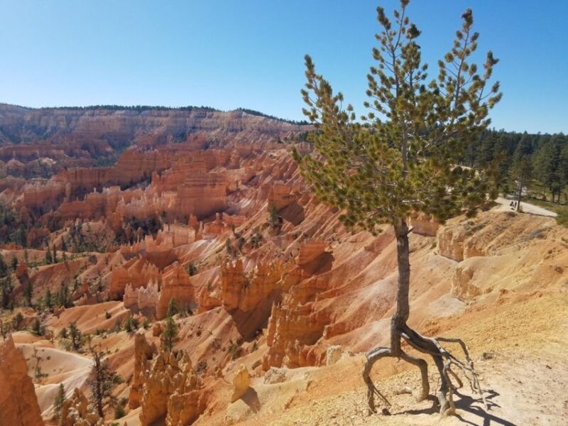 From Las Vegas: Zion and Bryce Canyon Guided Day Tour - A Detailed Look at the From Las Vegas: Zion and Bryce Canyon Guided Day Tour