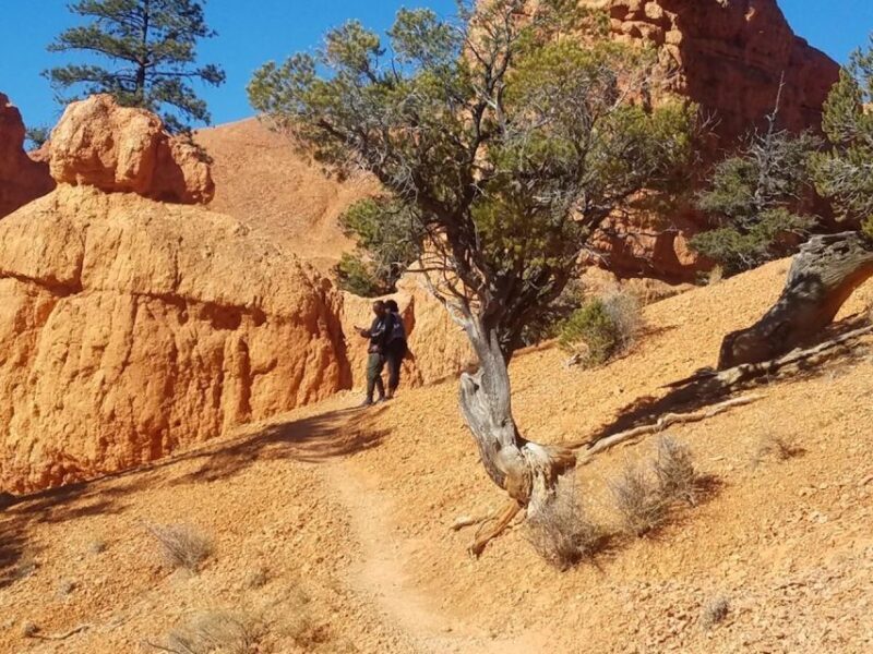 From Las Vegas: Zion and Bryce Canyon Guided Day Tour - FAQ