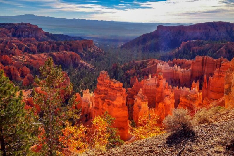 From Las Vegas: Zion and Bryce National Park Overnight Tour - An Introduction to the Tour Experience