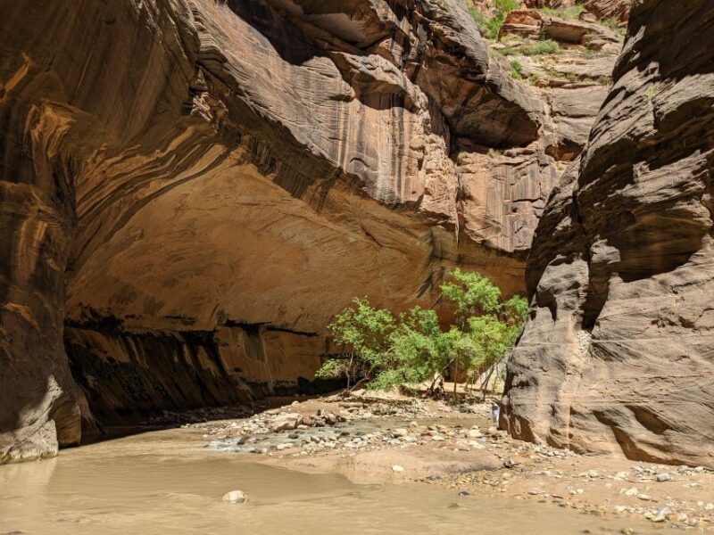 From Las Vegas: Zion National Park Small Group Adventure - The Pie Stop