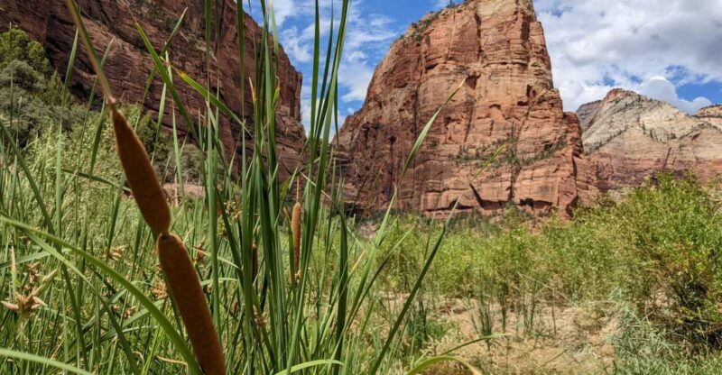 From Las Vegas: Zion National Park Small Group Adventure - The Long Day and What It Means for You