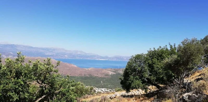 From Lasithi: Richtis Gorge - Why This Tour Might Appeal to You