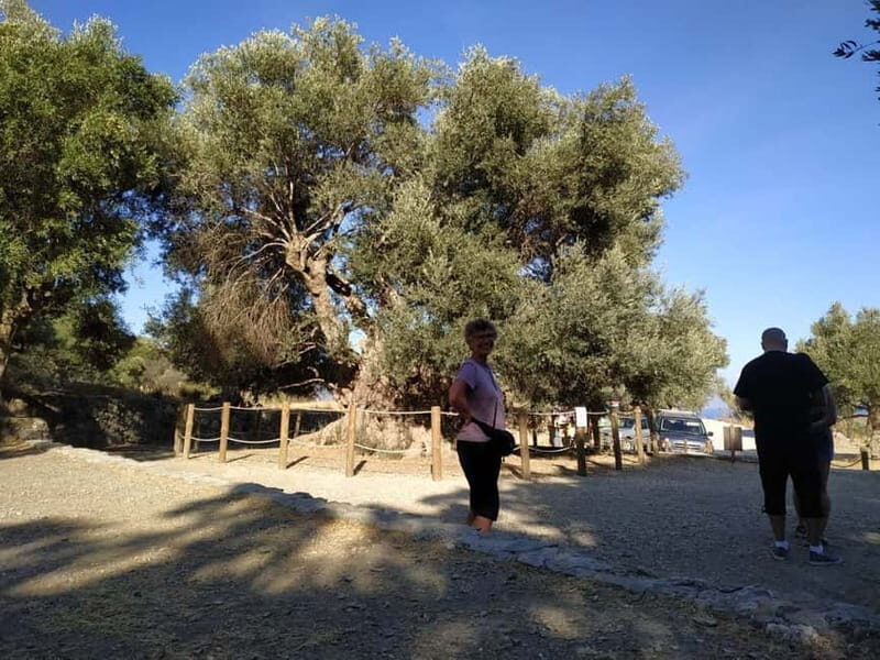 From Lasithi: Richtis Gorge - Wrapping It Up