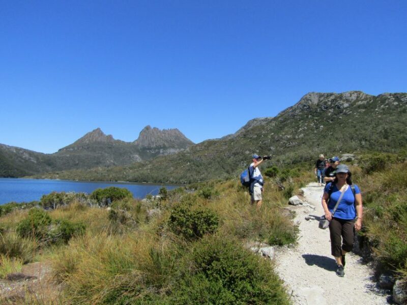 From Launceston: Cradle Mountain - Active Day Tour - Key Points
