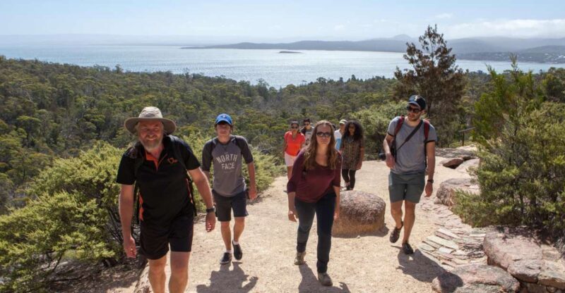 From Launceston: Full-Day Wineglass Bay Explorer Active Tour - An In-Depth Look at the Tour Experience