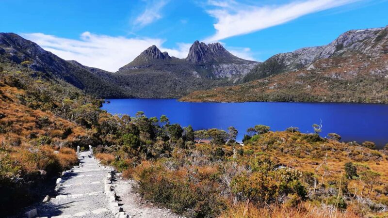 From Launceston: Sheffield Murals & Cradle Mountain Day Tour - Discovering Launceston’s Artistic Heart: Sheffield Murals
