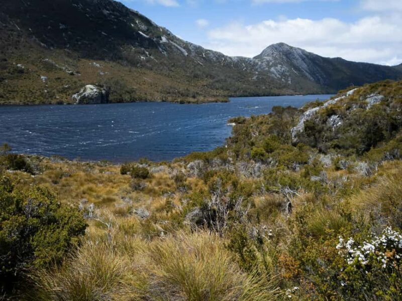 From Launceston: Sheffield Murals & Cradle Mountain Day Tour - The Majesty of Cradle Mountain and Dove Lake
