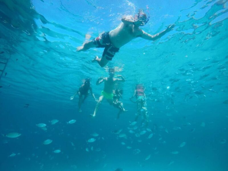 From Lefkimmi: Blue Lagoon and Syvota Village Cruise - The Sum Up