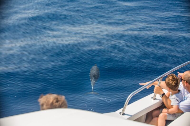 From Lefkimmi: Paxos, Antipaxos & Blue Caves Speedboat Tour - Who Is This Tour Best Suited For?