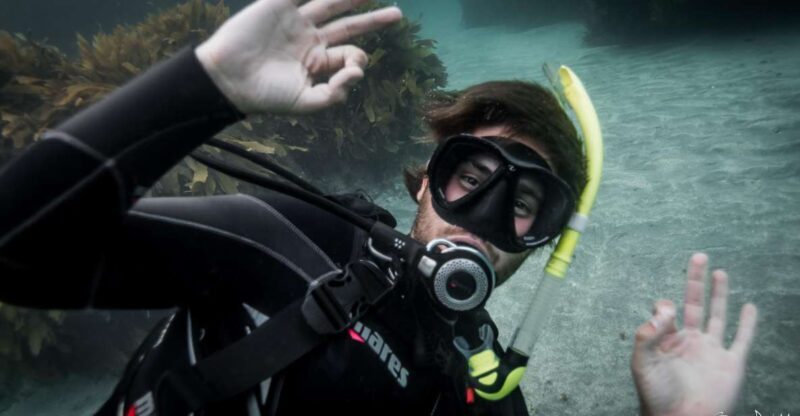 From Leigh: Goat Island Try Scuba Diving Experience - Practical Tips for Participants