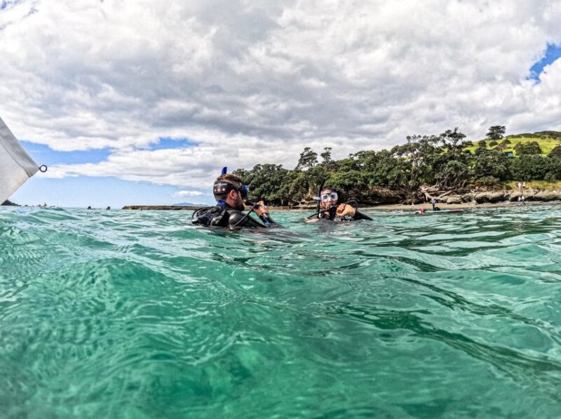 From Leigh: Goat Island Try Scuba Diving Experience - Final Thoughts