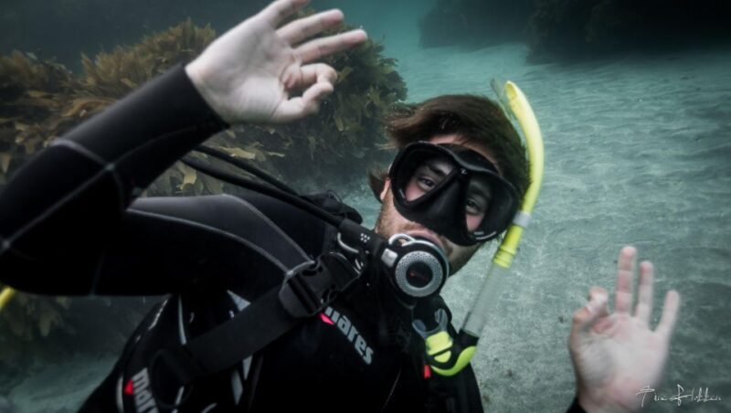 From Leigh: Goat Island Try Scuba Diving Experience - FAQ