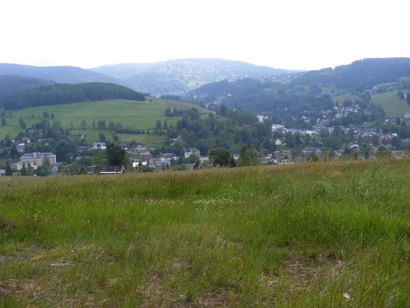 From Leipzig: Vogtland Music Day Trip - Key Points