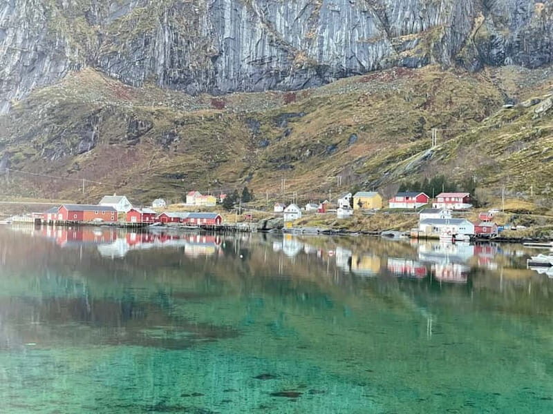 From Leknes: Lofoten Sightseeing Tour - Key Points