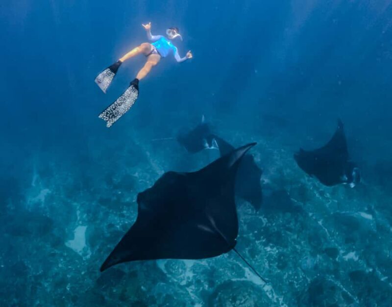 From Lembongan: Full Day Private Boat Snorkeling Nusa Penida - Why This Tour Stands Out