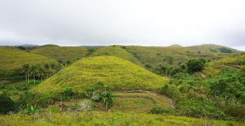 From Lembongan: Full-Day Private Tour East Nusa Penida - Reviews and Authentic Perspectives