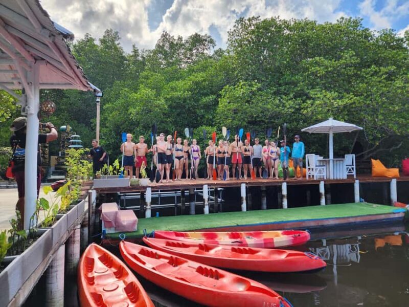 From Lembongan: Kayak/Paddleboard/Boat Mangrove Tour - An Honest Look at the Mangrove Experience