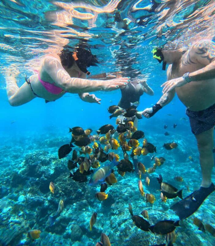 From Lembongan: Nusa Penida Private Snorkeling & West Tour - Authentic Experience and Overall Impression