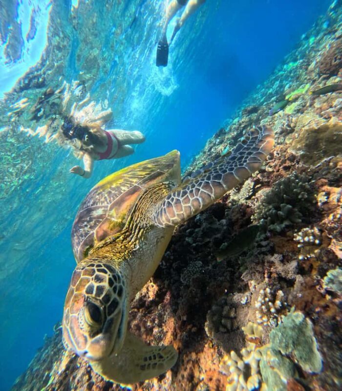 From Lembongan: Nusa Penida Private Snorkeling & West Tour - The Sum Up