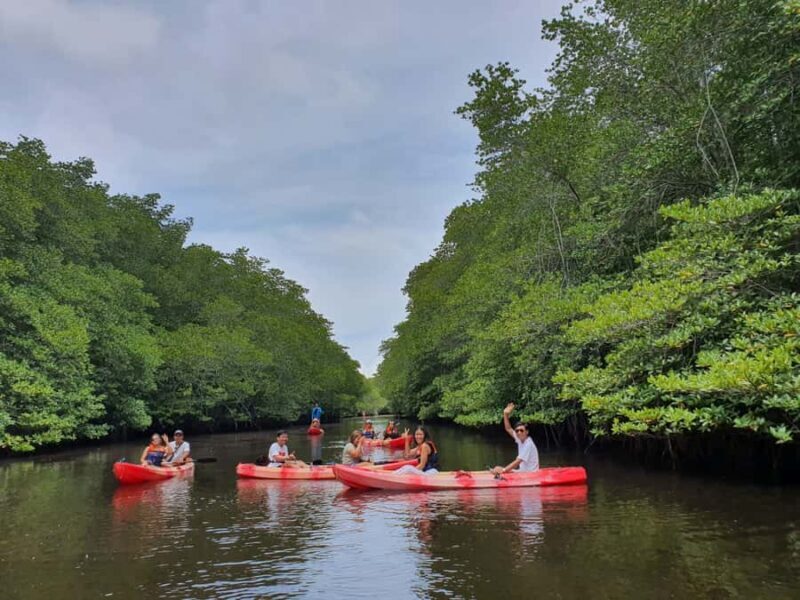 From Lembongan: Nusa Penida Snorkeling Day Trip - Starting the Day: Seamless Transfers and Expectation Setting