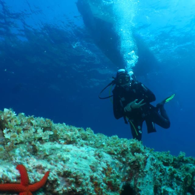 From Lerici: Scuba Diving Lessons and Dive in Portovenere - The Tour Itinerary in Detail
