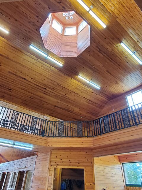 From Lexington: Kentucky Horse Farms Tour - From Lexington: Kentucky Horse Farms Tour