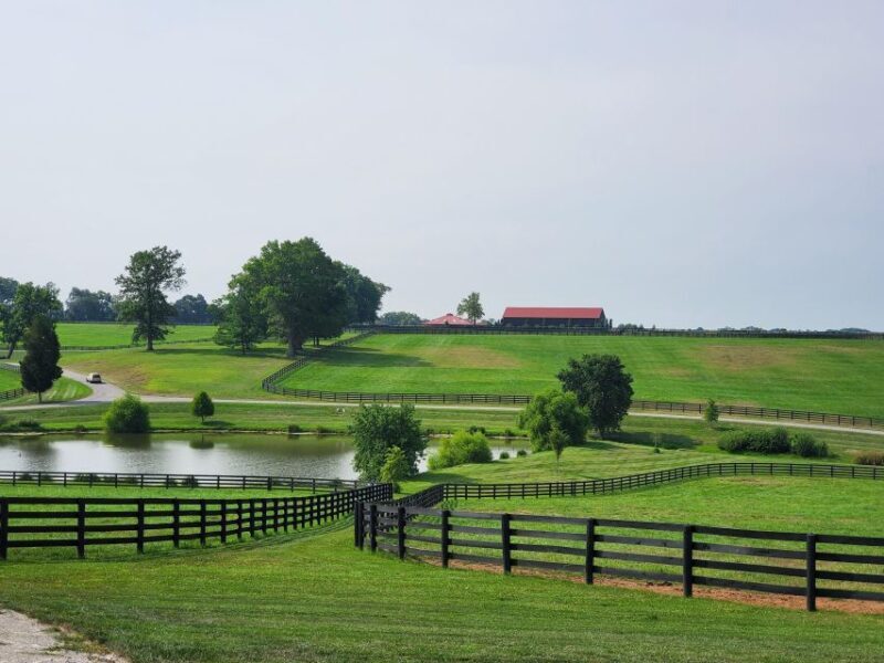 From Lexington: Kentucky Horse Farms Tour - Value for Money: Is It Worth It?
