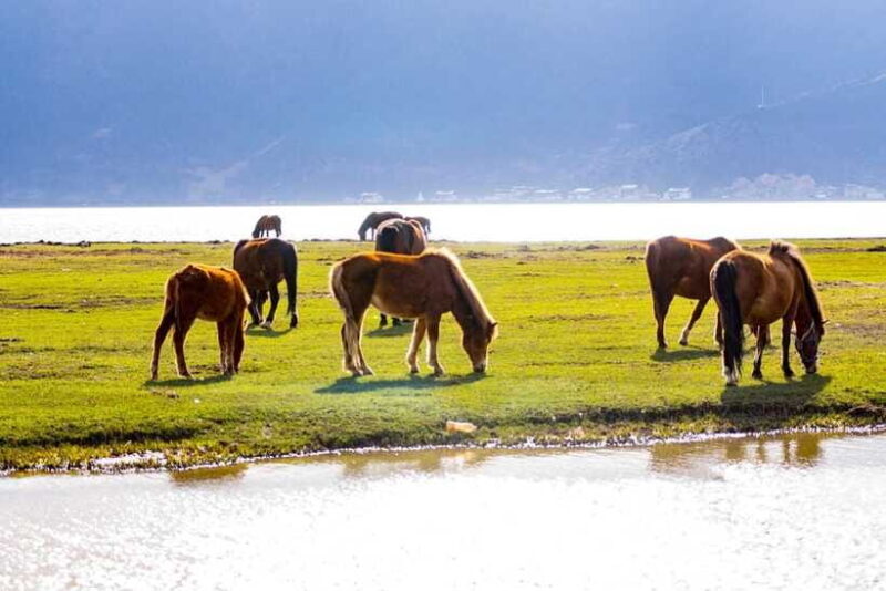 From Lijiang: 6-Day Lijiang to Shangri-La Adventure Tour - FAQs