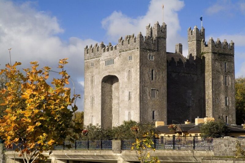From Limerick: Full-Day Guided Tour of Cliffs of Moher - Key Points